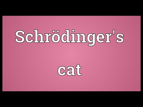 Schrödinger's cat Meaning