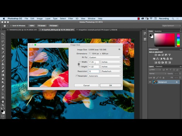 Understanding Image Size and Resolution in Photoshop | Galaxy.ai