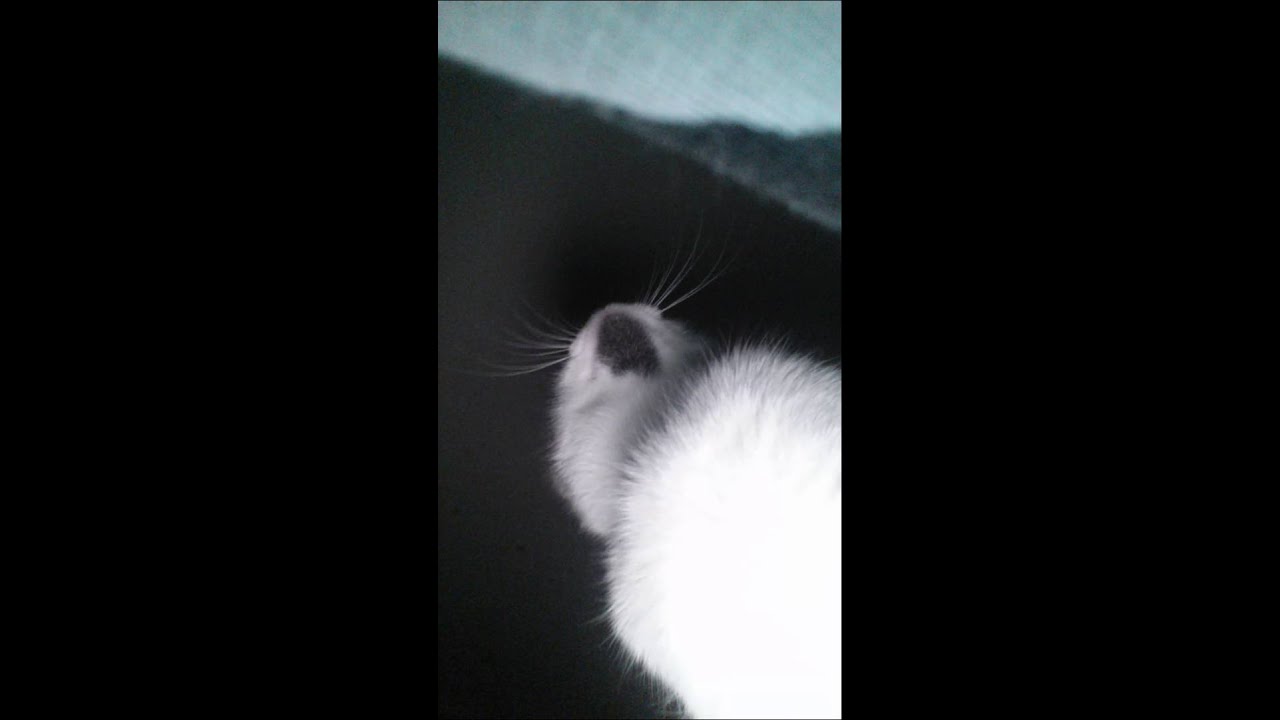 Snapchat pussy :)