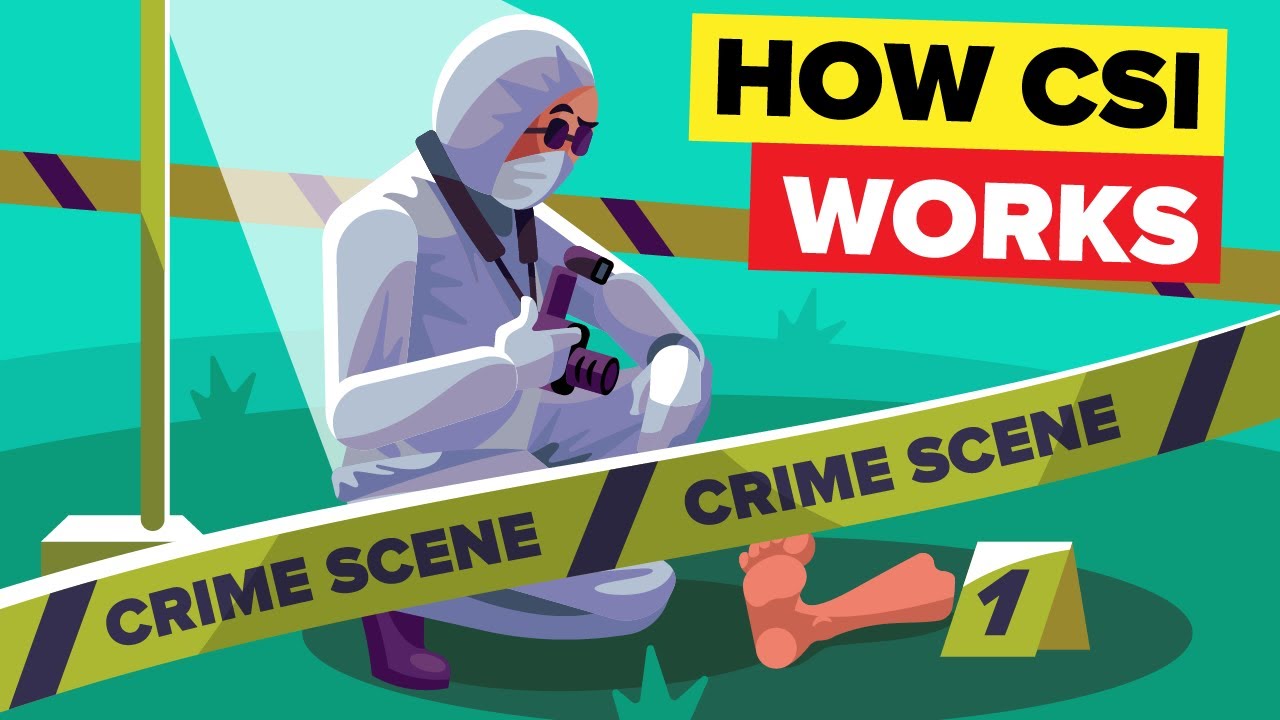 How Does Real Life CSI ACTUALLY Solve Murders?