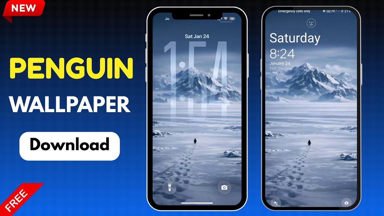 Penguin Wallpaper | Penguin Mountain Wallpaper Download Tutorial