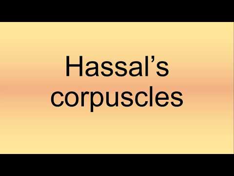 Hassal's Corpuscles Pronunciation | How to Say | How to Pronounce