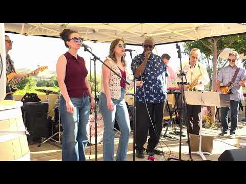 "Everybody Plays the Fool"Last Minute Band @ Las Positas Vineyards Livermore Ca 20250620 182046