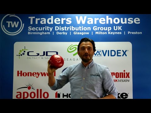 Traders Talks | Vimpex ClamBell