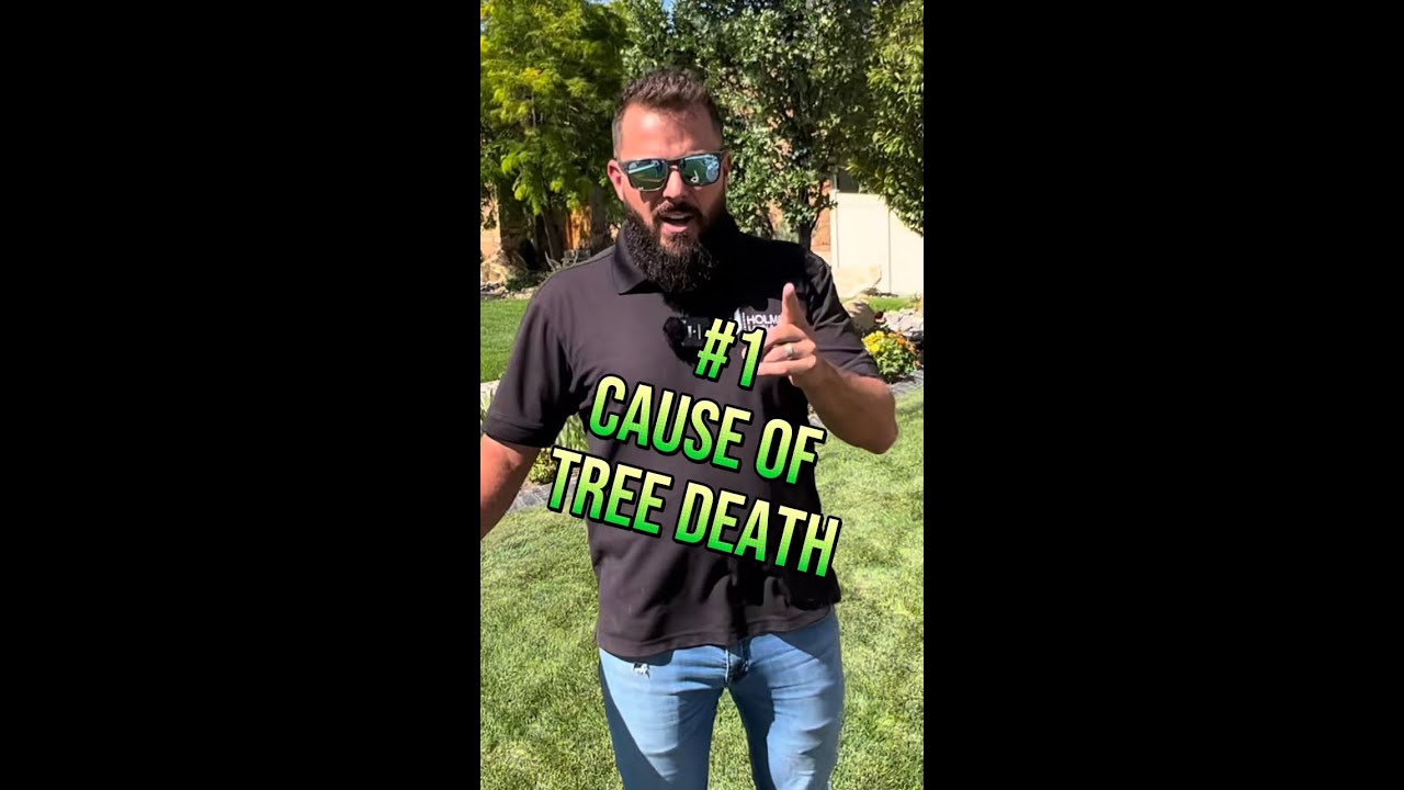 People Plant Their Trees Way To Deep!