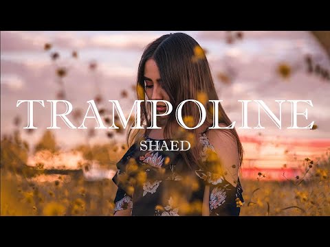 SHAED - Trampoline (Lyrics)