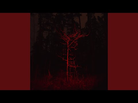 Gauja 5 final mix 2