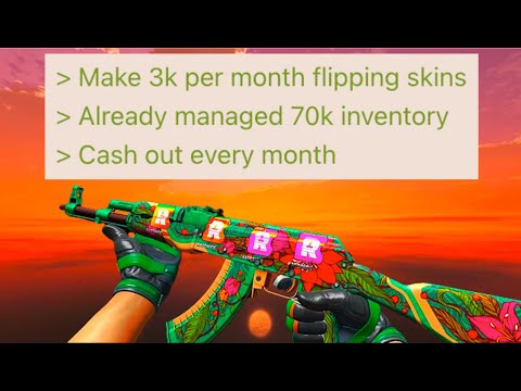 How Profitable is Selling CS2 Skins? | 4chan greentext