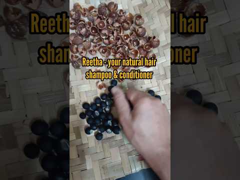 how to make reetha powder for hair shampoo and conditioner #shortsvideo #shortsfeed