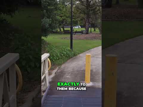Megan Fox Robot Babysitter?! AI's Taking Over Schools!