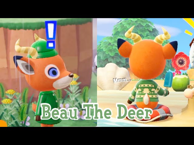 Beau in Animal Crossing: How to get, Appearance, Roles