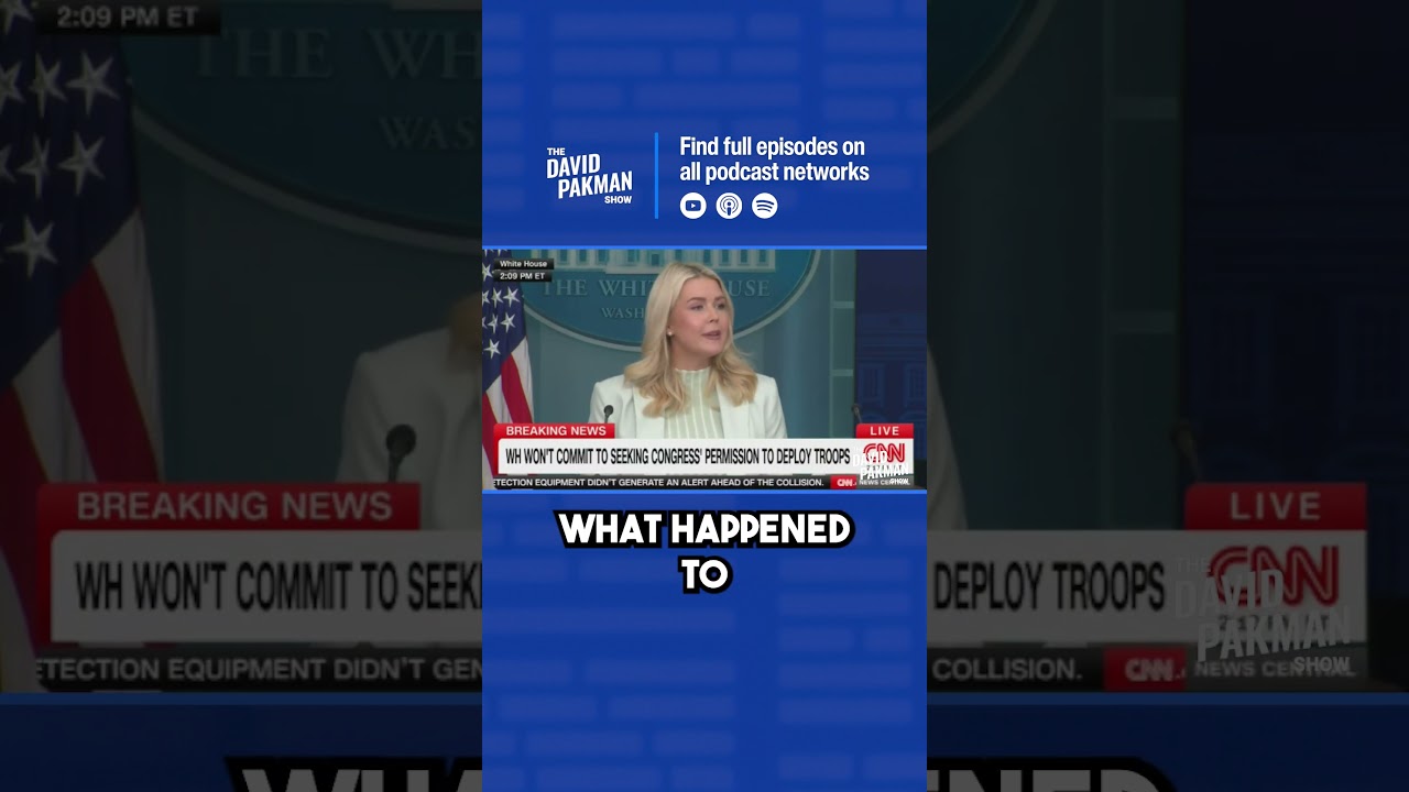 Karoline Leavitt delivers incoherent rant about Raskin #shorts