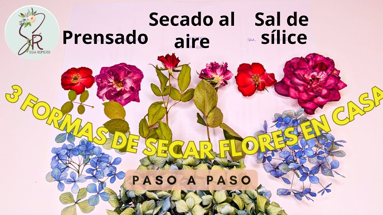 🌸 3 Formas de Secar Flores en Casa | Fácil, Rápido y Duradero