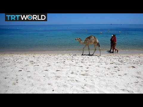 Tunisia back on the map as top destination | Money Talks