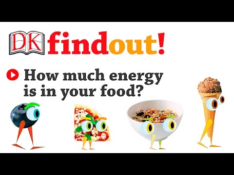 How Much Energy is in Your Food?