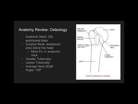 An introduction to proximal humerus fractures (Dr. Peter Filtes)