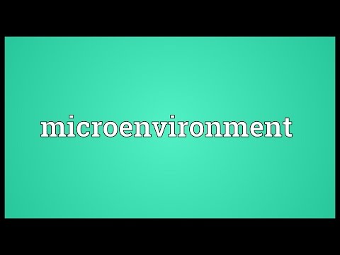 Microenvironment Meaning