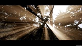 Skyrim Se 2020 - Insane Realistic Graphics - TKV6 ENB at Skyrim Special ...