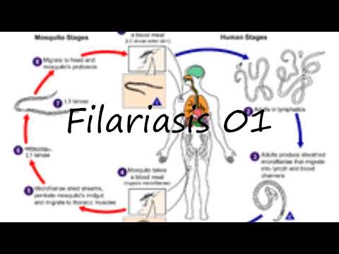 How to pronounce Filariasis 01 in Indonesian?
