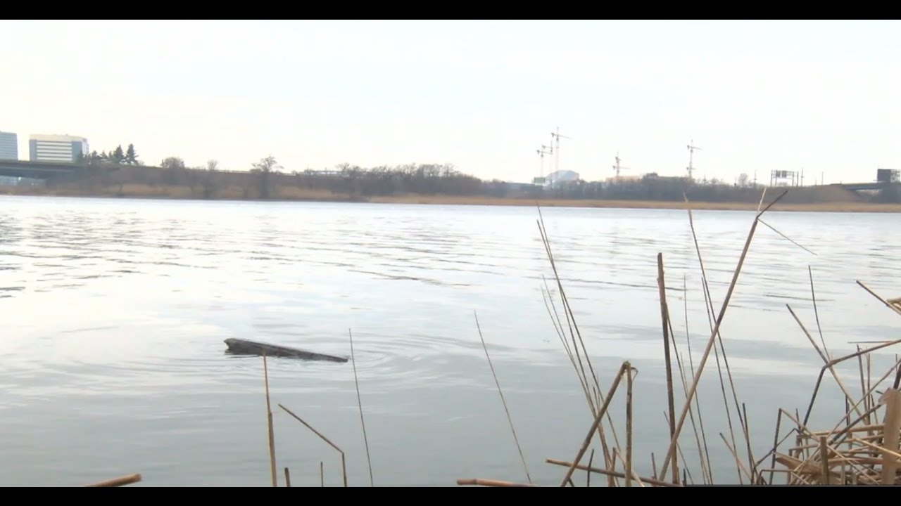 Hackensack River Cleanup