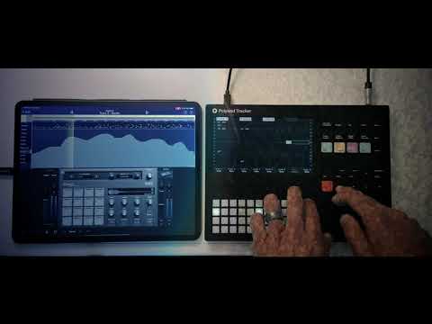 endless key - polyend tracker + korg gadget track