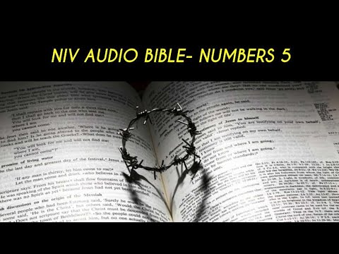 NUMBERS 5 NIV AUDIO BIBLE (with text)