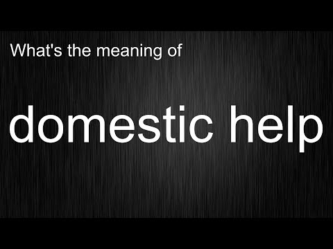 What's the meaning of "domestic help", How to pronounce domestic help?