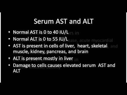Serum AST and ALT