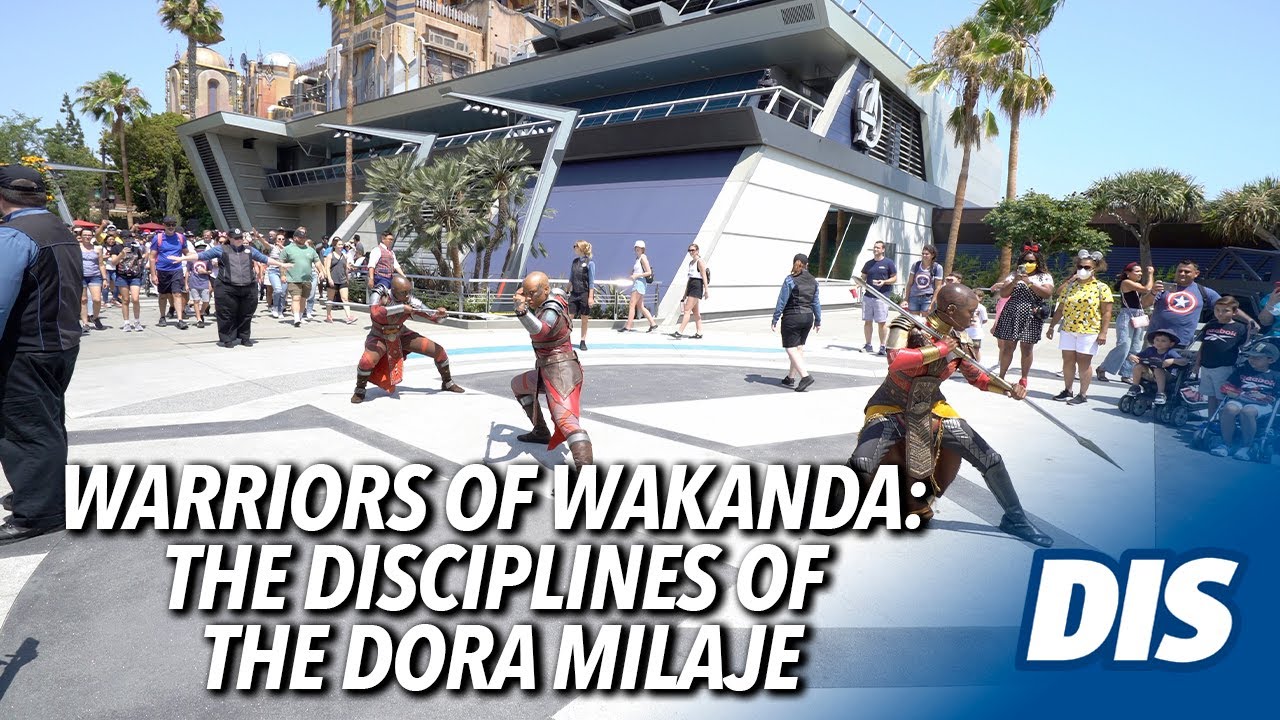 The Warriors of Wakanda: The Disciplines of the Dora Milaje | Avengers Campus