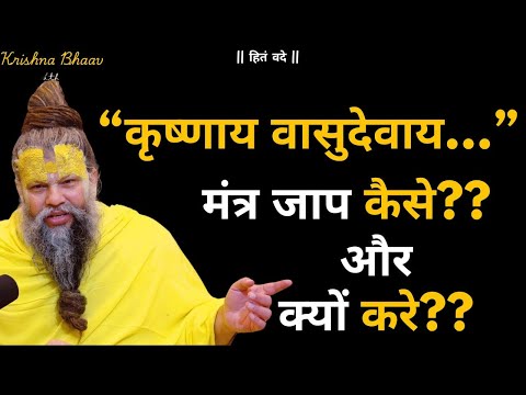"कृष्णाय वासुदेवाय हरये परमात्मने.." || मंत्र जाप कैसे और क्यों करे BY Shri Hit Premanand Ji Maharaj