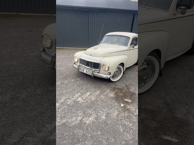 Volvo PV544E -1964 - PS Auction - We value the future - Largest in net ...