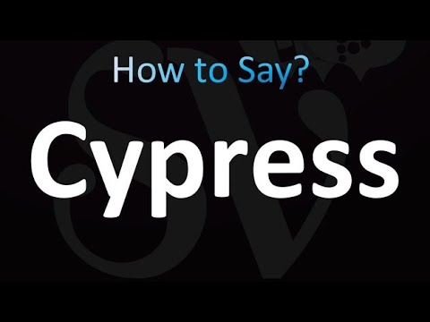 How to Pronounce Cypress (correctly!)