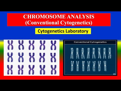 CHROMOSOME ANALYSIS - Definition , Uses , Need , Preparation , Results , Normal Values