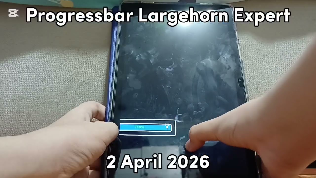 I got Every System Label in Progressbar95 (#2)