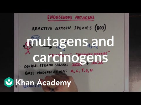 Mutagens and carcinogens | Biomolecules | MCAT | Khan Academy