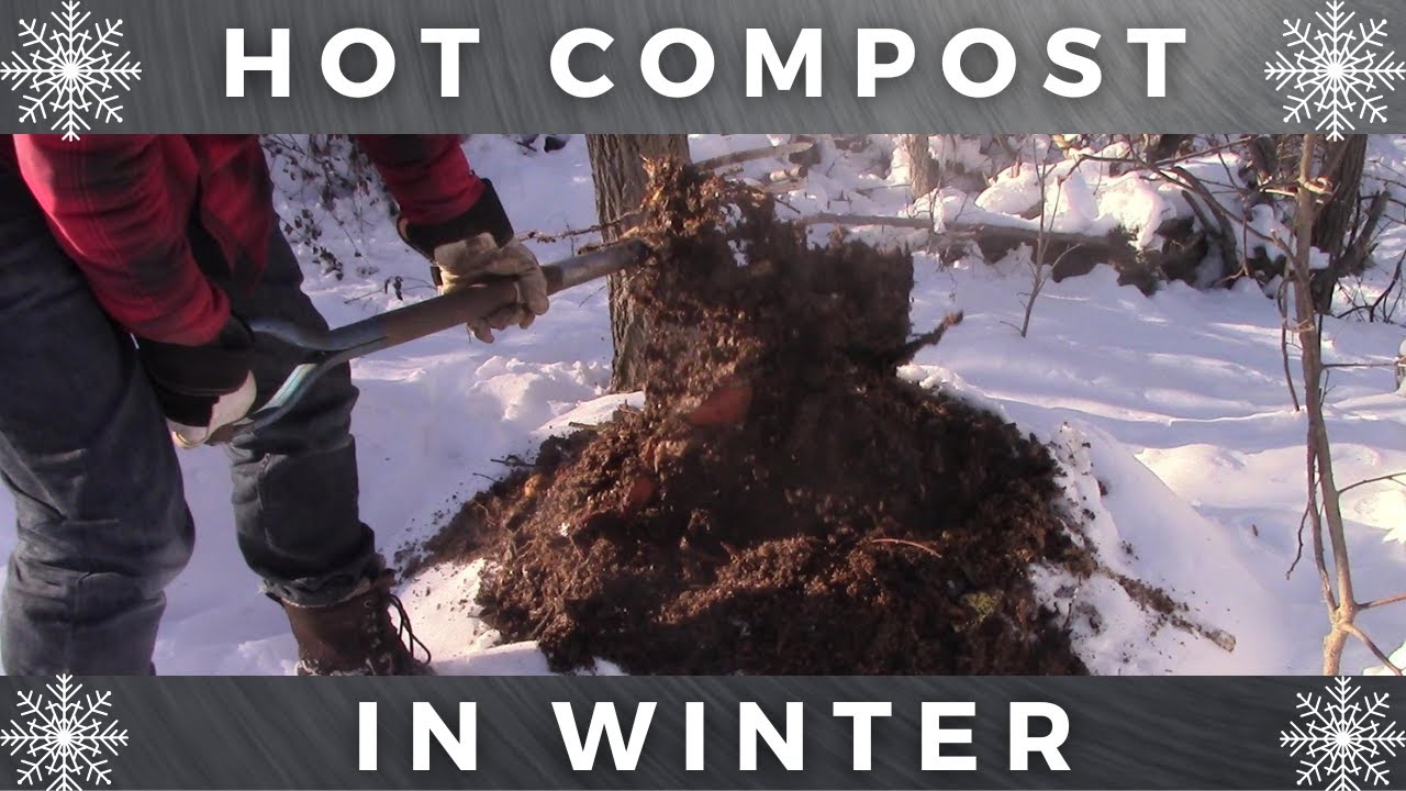 How To Compost In Winter