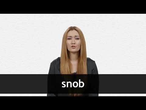 SNOB - Definition & Translations | Collins English Dictionary SNOB - Definition & Translations | Collins English Dictionary
