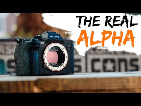 Sony A7R V: The real Alpha (ILCE7RM5)