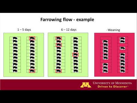 Dr. Jorge Garrido - Experimental Transmission of Influenza & PRRS Viruses Using a Nurse Sow Model