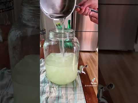 How to make ginger beer