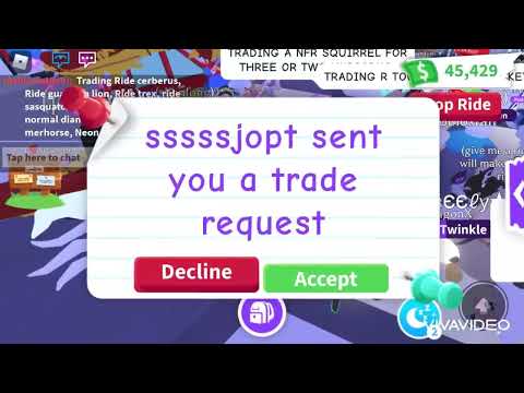 What people trade for fr albino monkey? 🤔