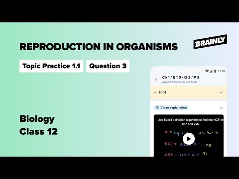 Why is the offspring formed by asexual reproduction , 12, Class 12 ,Topic Practice 1 - 1.1, Q. 3