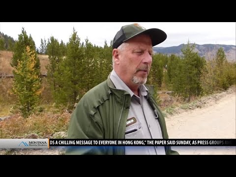 Yellowstone awash with fall colors