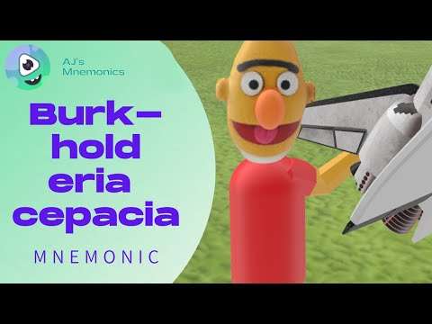 Burkholderia Cepacia (Mnemonic for the USMLE)