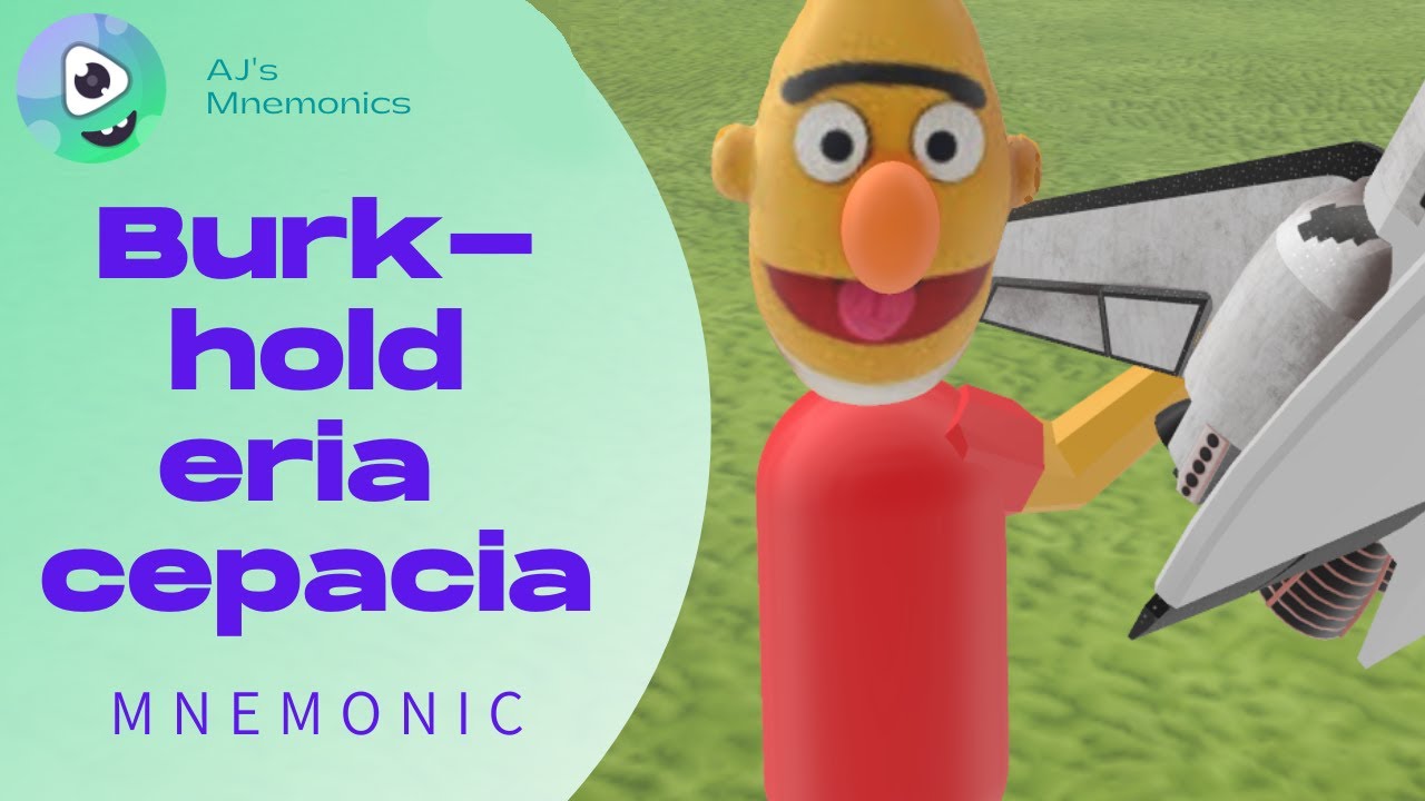 Burkholderia Cepacia (Mnemonic for the USMLE)