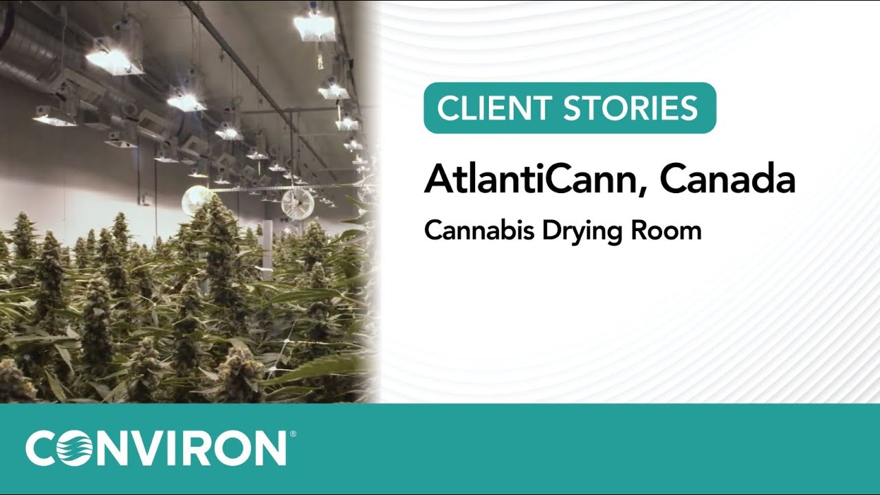 AtlantiCann Drying Room Full Interview