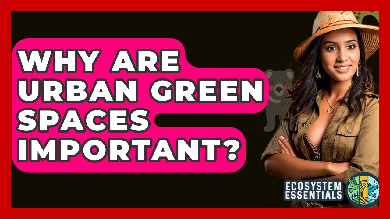 Why Are Urban Green Spaces Important? - Ecosystem Essentials