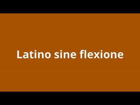 what is the meaning of Latino sine flexione
