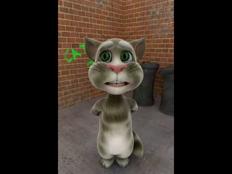 Talking Tom Hates Facebook