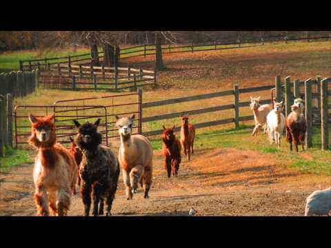 Visit Granville, North Carolina